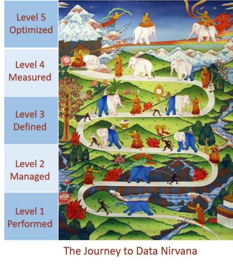 Data Management Maturity Assessment - DataWise, Inc.